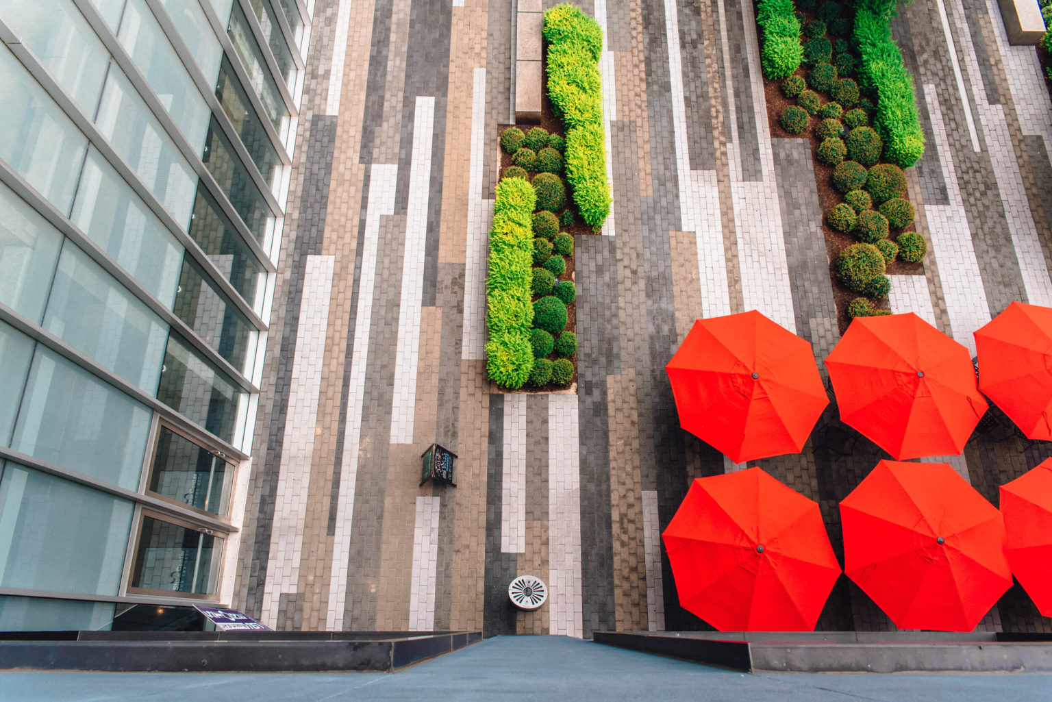 Steve Haney - LEMOINE Program Services